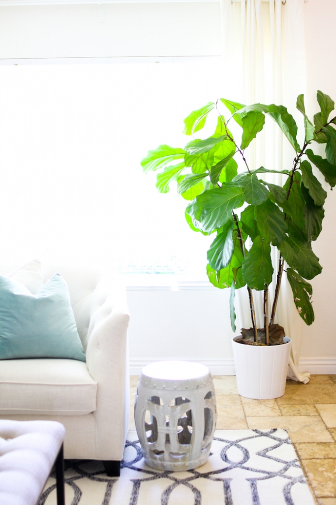 7 Ways to Incorporate Greenery into Your Home
